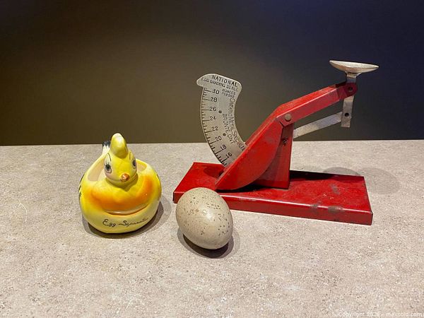 National egg scale, ceramic chick separator, speckled display egg | Maxsold