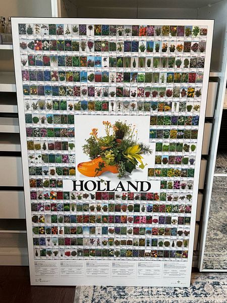 Flower Council of Holland plant poster 33x55.5" | Maxsold
