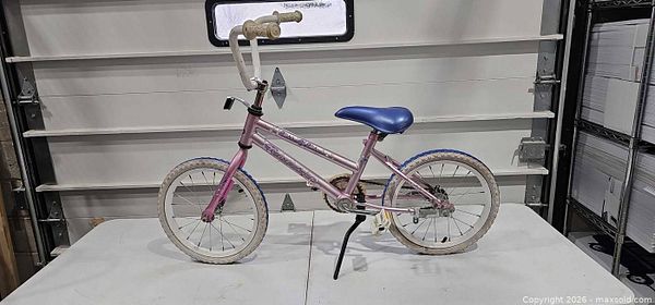 Raleigh 16-Inch Pink Kids Bicycle | Maxsold
