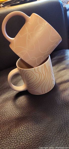 Whitney Kerney ceramic mugs set of 2 | Maxsold