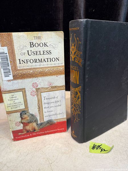 2 Books: Angel Burn & The Book of Useless Information | Maxsold