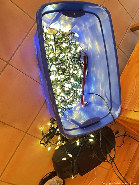 Green-Cord LED C7/C9 String Lights — Warm & Cool White | Maxsold