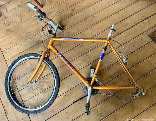 Minelli Mt Diablo Yak Collection 2000 bike frame with components | Maxsold