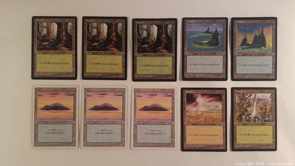 Magic: The Gathering 10 Basic Land Cards | Maxsold
