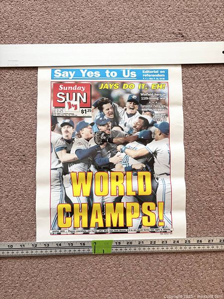 Vintage Toronto Blue Jays Sunday Sun World Champs Poster | Maxsold